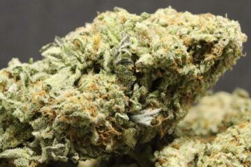 Bud Breakdown: MAC Strain | Blog | Verts Dispensary