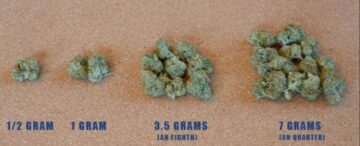 How Many Grams in an Ounce of Weed? | Verts Dispensary