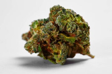What is Green Crack Strain? A Brief Introduction | Blog | Verts Dispensary