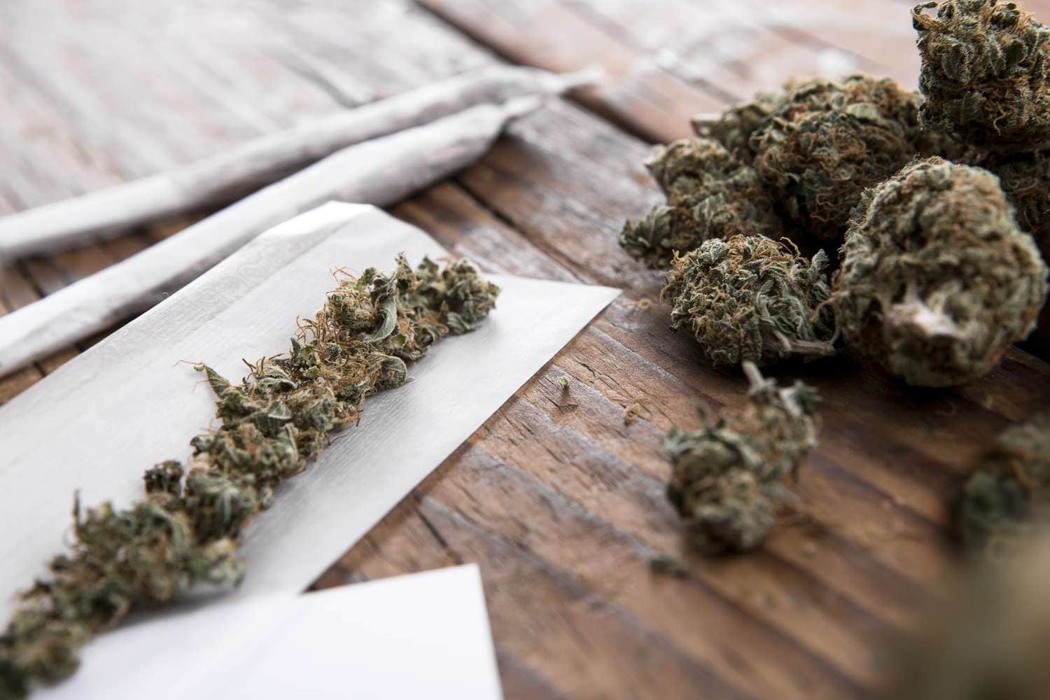 How Long Does Marijuana Stay in Your System: What You Need to Know ...