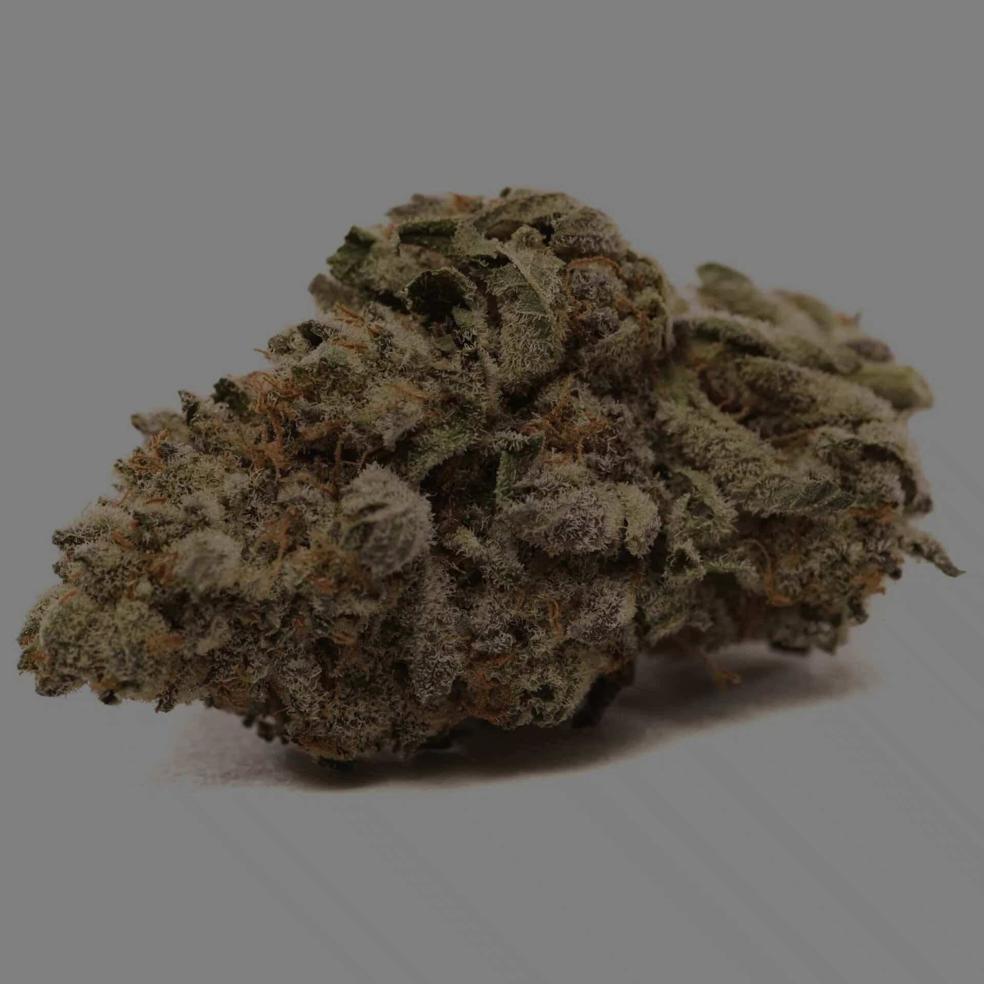 Bud Breakdown: Wedding Cake | Blog | Verts Dispensary